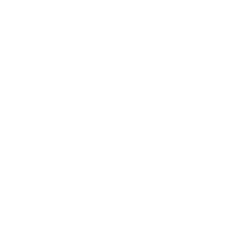 Wendt India (WENDT.NS) - P/B ratio