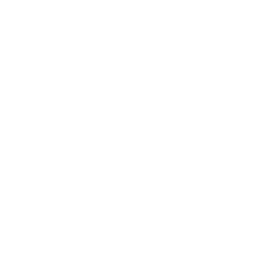 Westwing Group (WEW.DE) - Market capitalization