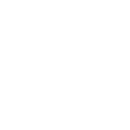 Wellgistics Health (Danam Health) (WGRX) - P/E ratio