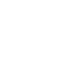 Wise PLC (WISE.L) - Revenue