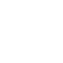 Workhorse Group (WKHS) - P/B ratio