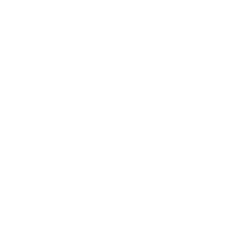Weis Markets - 10-K annual report 2024