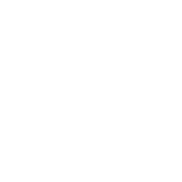 Wolfspeed (WOLF) - Stock price history