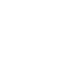 WSP Global (WSP.TO) - Shares outstanding