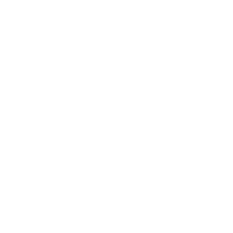 Alkaline Water Company (WTER) - Total assets