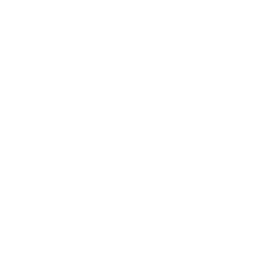 Xior Student Housing (XIOR.BR) - Dividendes