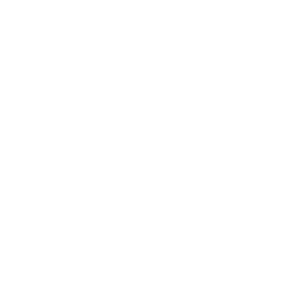 Sino AG (XTP.DE) - P/E ratio