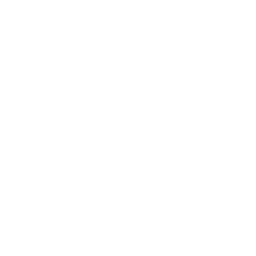 Xvivo Perfusion AB (XVIVO.ST) - Market capitalization