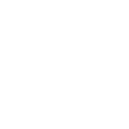 YETI Holdings (YETI) - Revenue