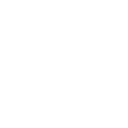Zee Learn (ZEELEARN.NS) - P/S ratio
