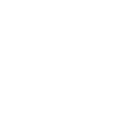 Zion Oil & Gas (ZNOG) - Stock price history