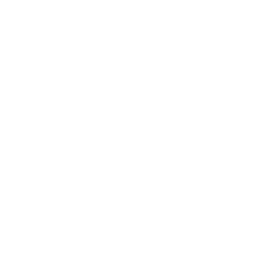 CleanCore Solutions (ZONE) - Market capitalization