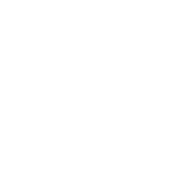 Defiance Quantum ETF (QTUM) - fund holdings