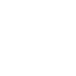 Fidelity Metaverse ETF (FMET) - Market capitalization