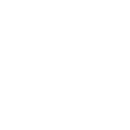 Invesco MSCI Japan ESG Climate Paris Aligned UCITS ETF (PAUJ.DE ...