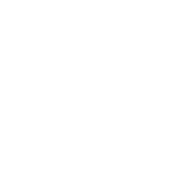 JPMorgan Equity Premium Income ETF (JEPI) - fund holdings
