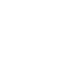 Microsectors U.S. Big Oil 3× Leveraged ETNs (NRGU) - Stock price history