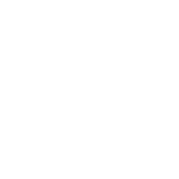 SAMSUNG Bloomberg Global Semiconductor ETF (3132.HK) - fund holdings