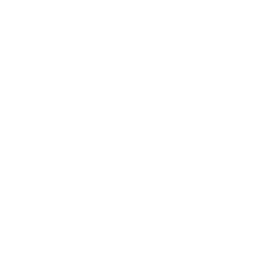 UBS (Irl) ETF plc - Solactive Global Pure Gold Miners UCITS ETF (USD) A ...