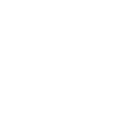 VanEck Semiconductor UCITS ETF (VVSM.DE) - Expense Ratio and Fees