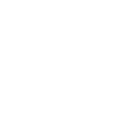 Vanguard Global ex-U.S. Real Estate Index Fund ETF Shares (VNQI ...