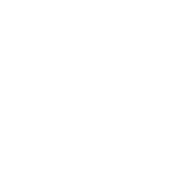 YieldMax S&P 500 0DTE Covered Call Strategy ETF (SDTY) - Market ...