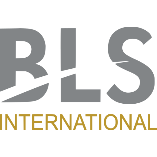 BLS International (BLS.NS) - Market capitalization