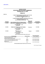 PSEG - Annual Reports (10-K)