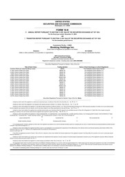 Booking Holdings (Booking.com) - Annual Reports (10-K)