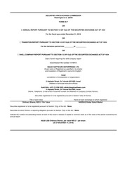 Magic Software - Annual Reports (20-F)