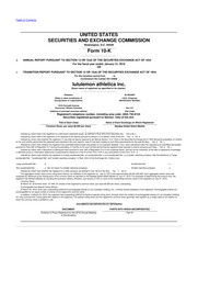 lululemon athletica - Annual Reports (10-K)
