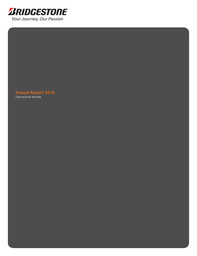 Bridgestone - Annual Reports