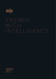 EDP Group - Annual Reports