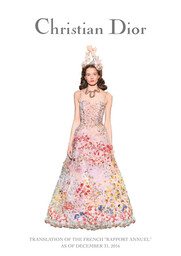 Dior - Annual Reports