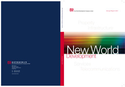 New World Development Company - Annual Reports