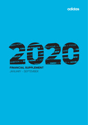 Adidas - Financial Statements