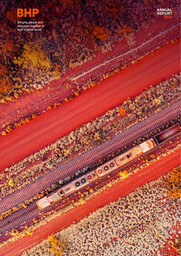 BHP Group - Annual Reports