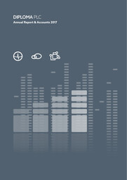 Diploma plc - Annual Reports