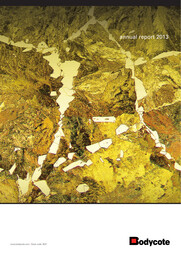 Bodycote - Annual Reports