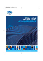 BlueScope Steel - Annual Reports