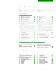 BP - Financial Statements