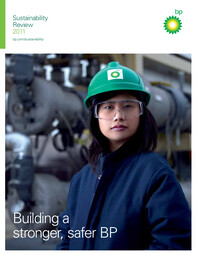 BP - Sustainability Reports