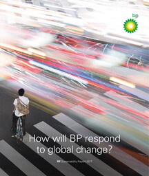 BP - Sustainability Reports